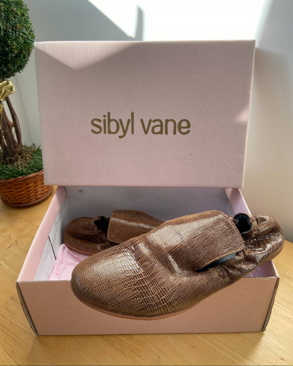 Renová Tu Vestidor - Zapatos Sybil Vane