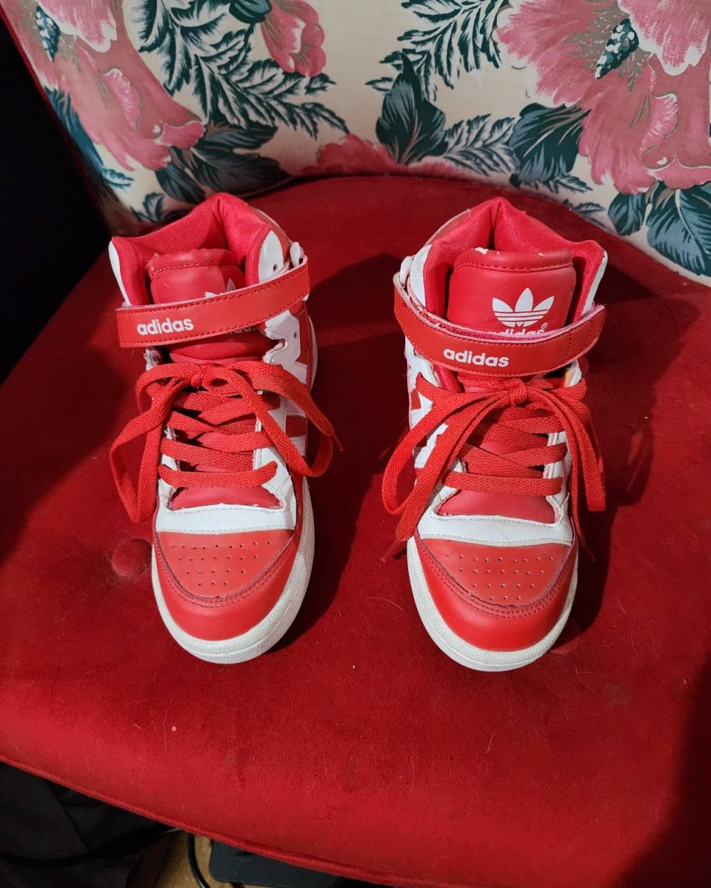 Renová Tu Vestidor - Zapatillas Adidas