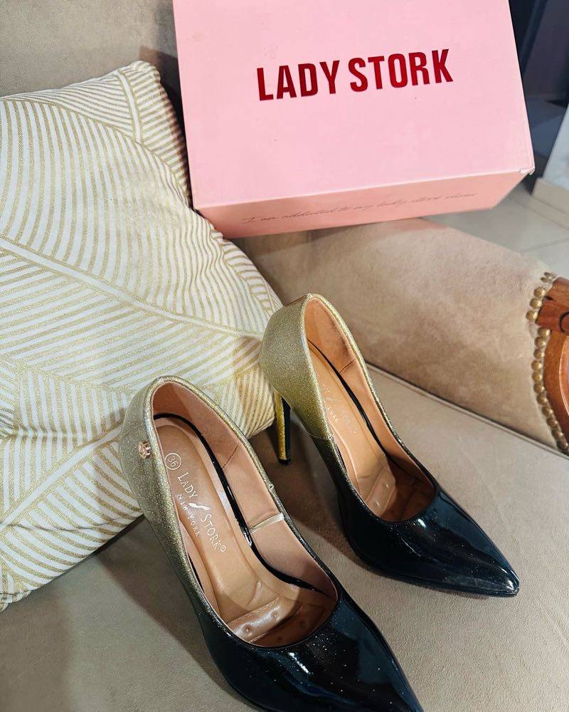 Renová Tu Vestidor - Zapatos Lady Stork